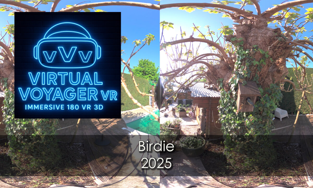 Birdie - Virtual Voyager VR - VR Video | DeoVR