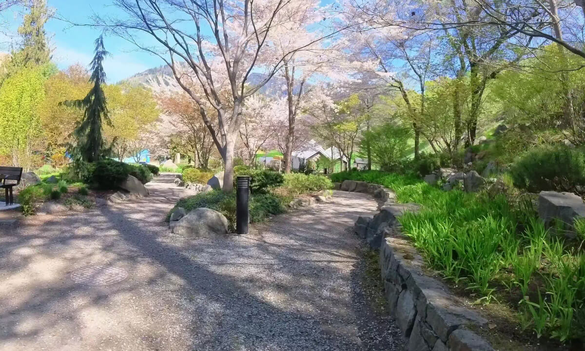 Cotton Wood Falls and Japanese Garden in Nelson, BC | DeoVR