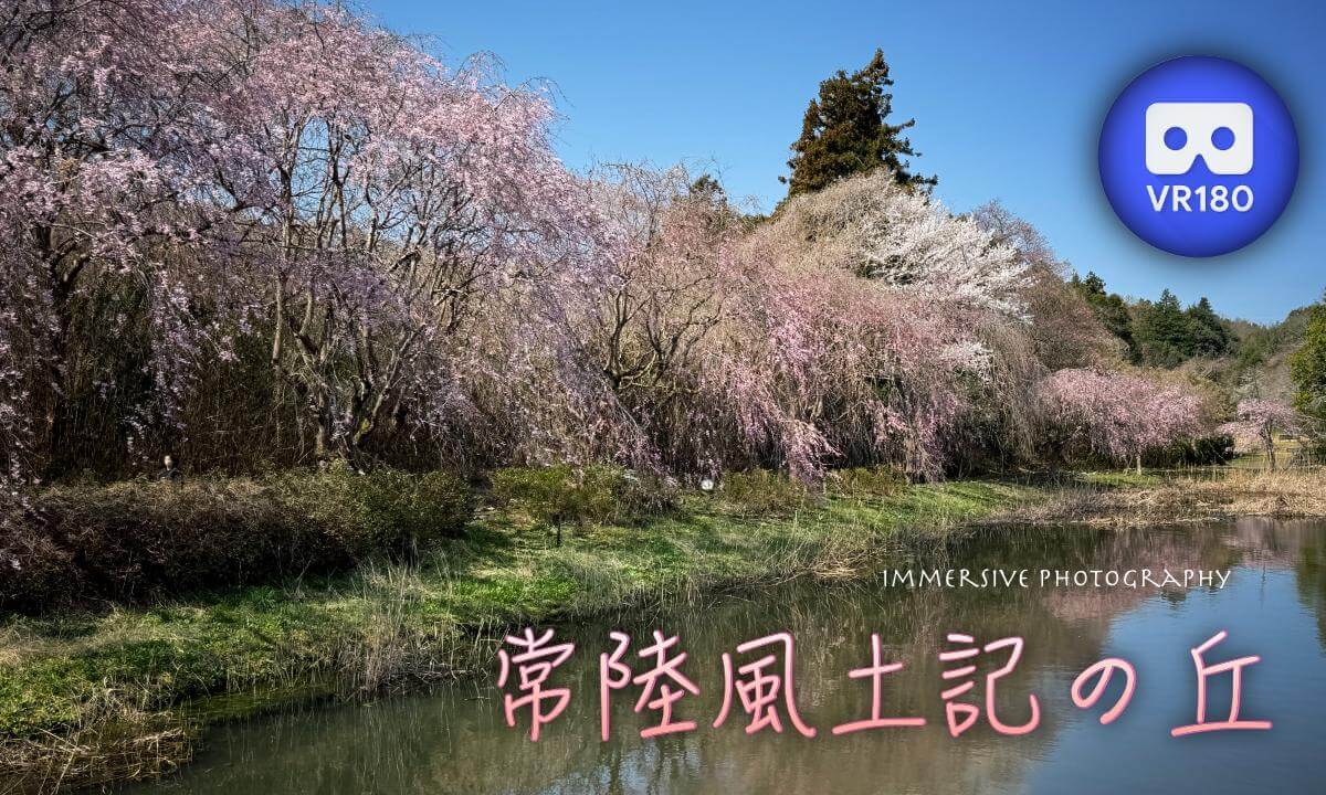 Hitachi Fudoki no Oka - Sinchiros3DPhotos - VR Video | DeoVR