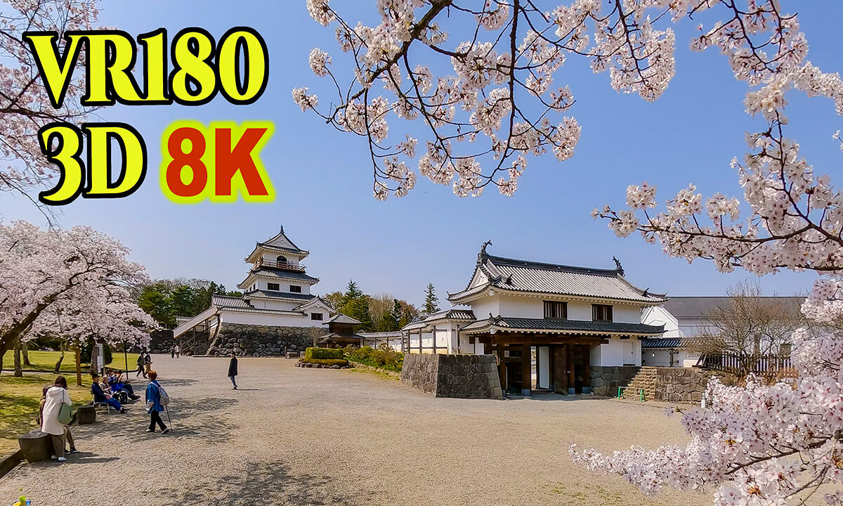 Shiroishi Castle surrounded by cherry blossoms in Miyagi,Japan