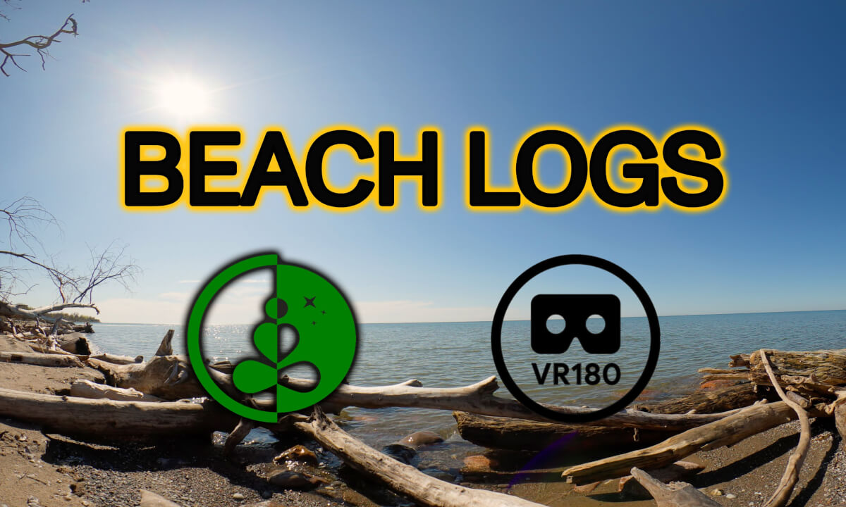 BEACH LOGS | VR180 | 8K | Relaxing Nature Experience | DeoVR