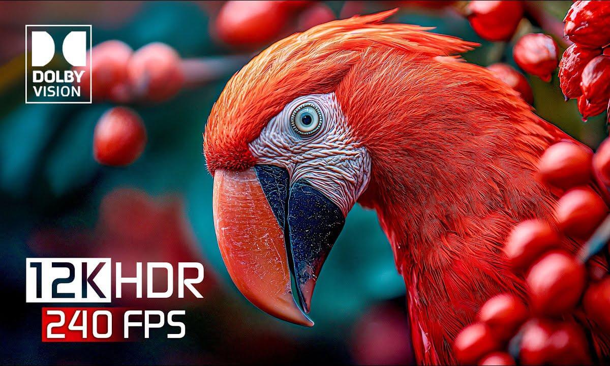 Life on Earth.01 - AIGC_3D Vision Lab - VR Video | DeoVR