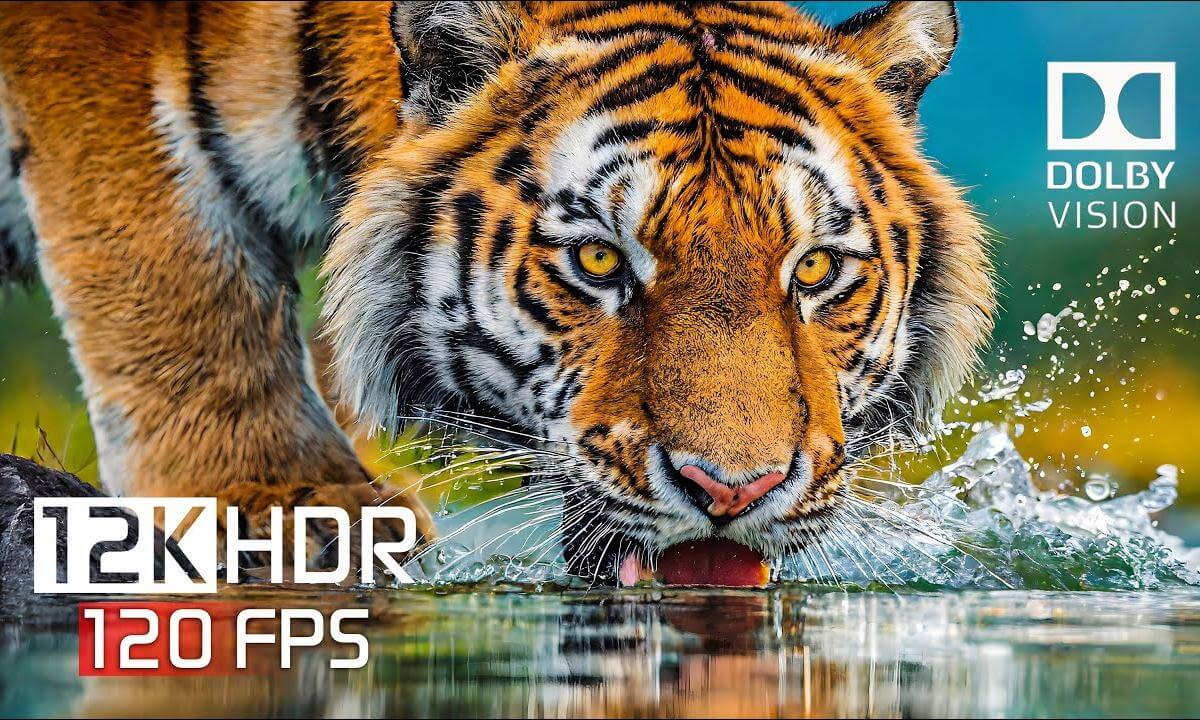 Life on Earth.05 - AIGC_3D Vision Lab - VR Video | DeoVR