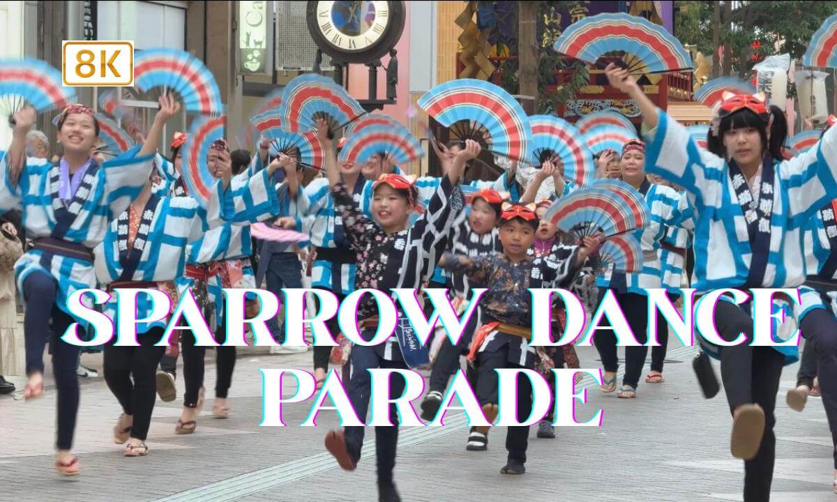 Ichibancho Sparrow Dance Parade | DeoVR