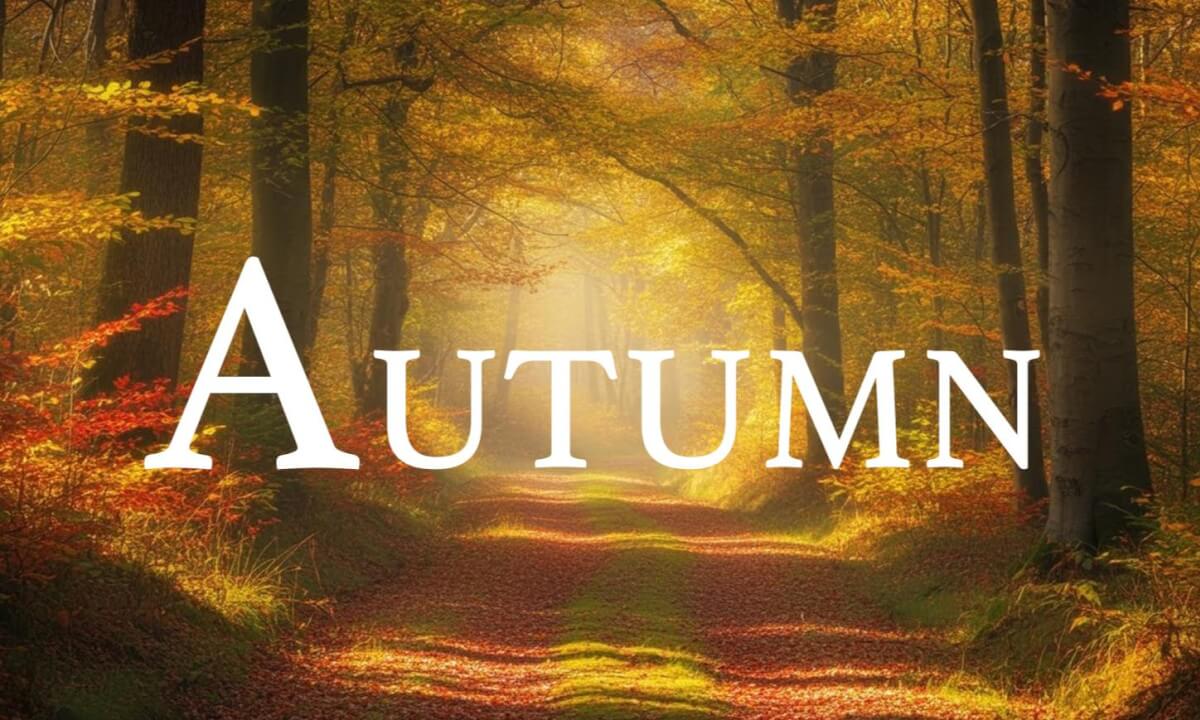 Autumn 4K – Relaxing Scenery & Hidden Gems with Calming Music