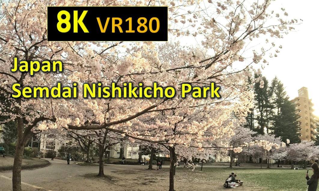 Japan Semdai Nishikicho Park | DeoVR