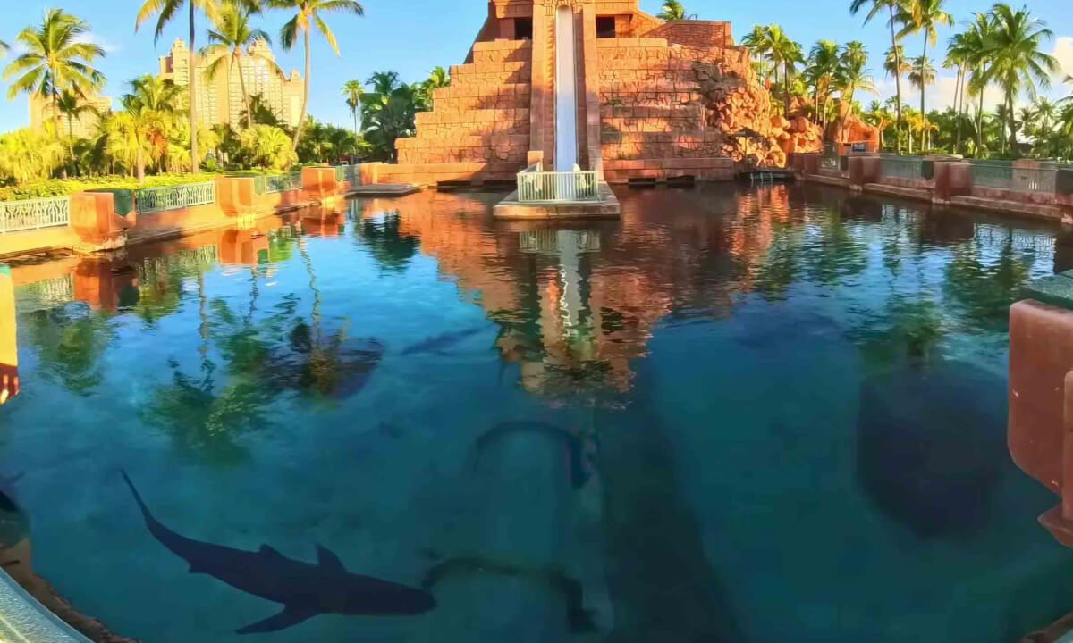 Caribbean reef sharks at Mayan Temple Atlantis 8K 360VR