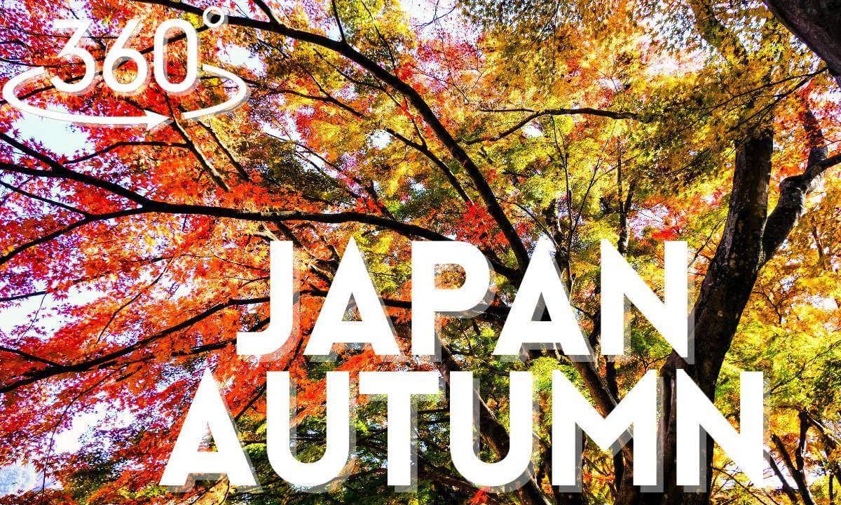 Japan Autumn Colors 360° | Kyoto, Nikko, Kawaguchi Fall VR Tour