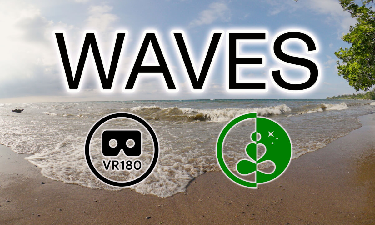 WAVES | VR180 | Relaxing Nature Experience | DeoVR