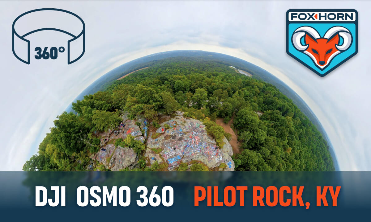 DJI Flight 360 - Fox Horn - VR Video | DeoVR