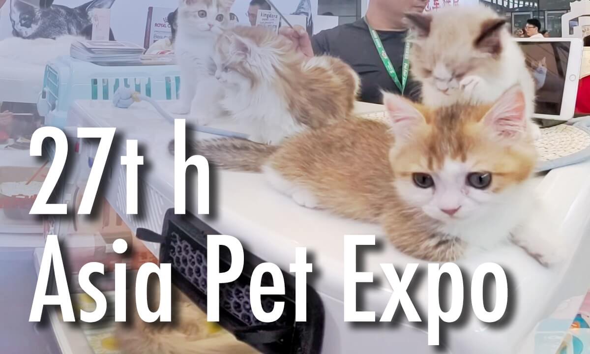 The 27th Asian Pet Expo - Potatoes VR - VR Video | DeoVR