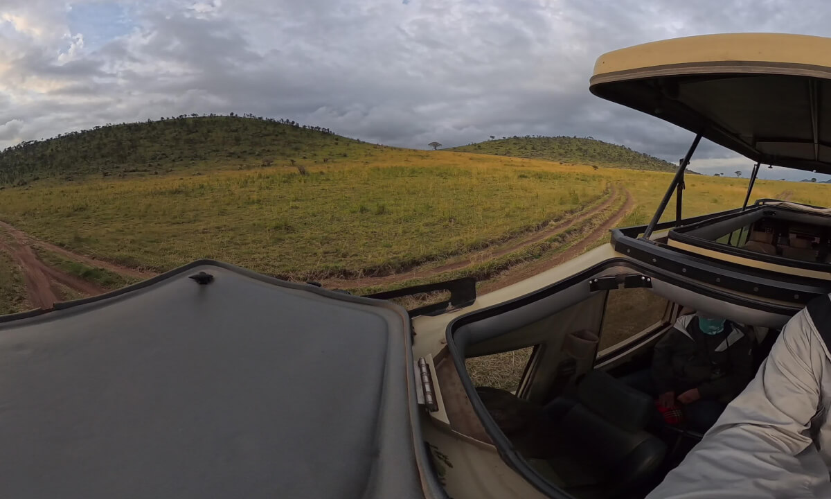 Safari in Kenya - TAI TRAVEL - VR Video | DeoVR