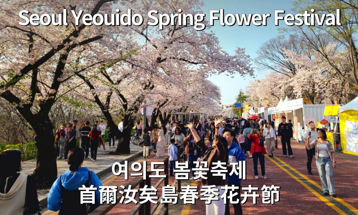 Yeouido Cherry Blossom Walking Tour 🌸 | Seoul Spring near National ...