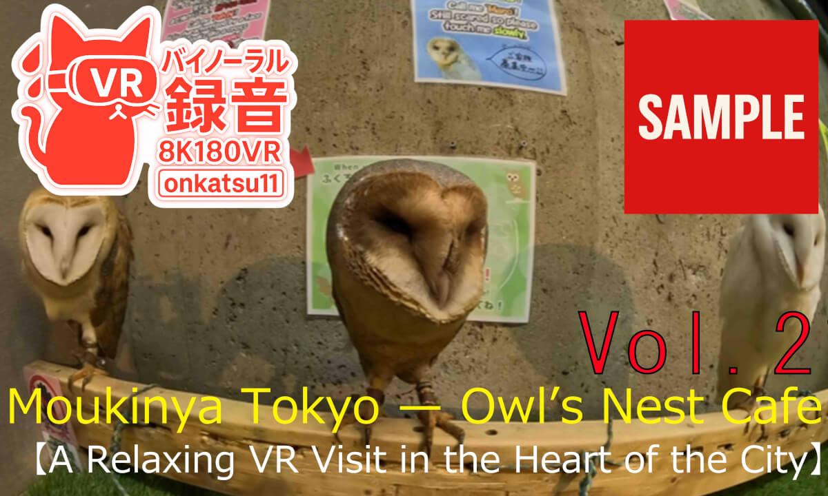 【SAMPLE】🌟【Moukinya Tokyo — Owl’s Nest Cafe: A Relaxing VR Visit in the ...
