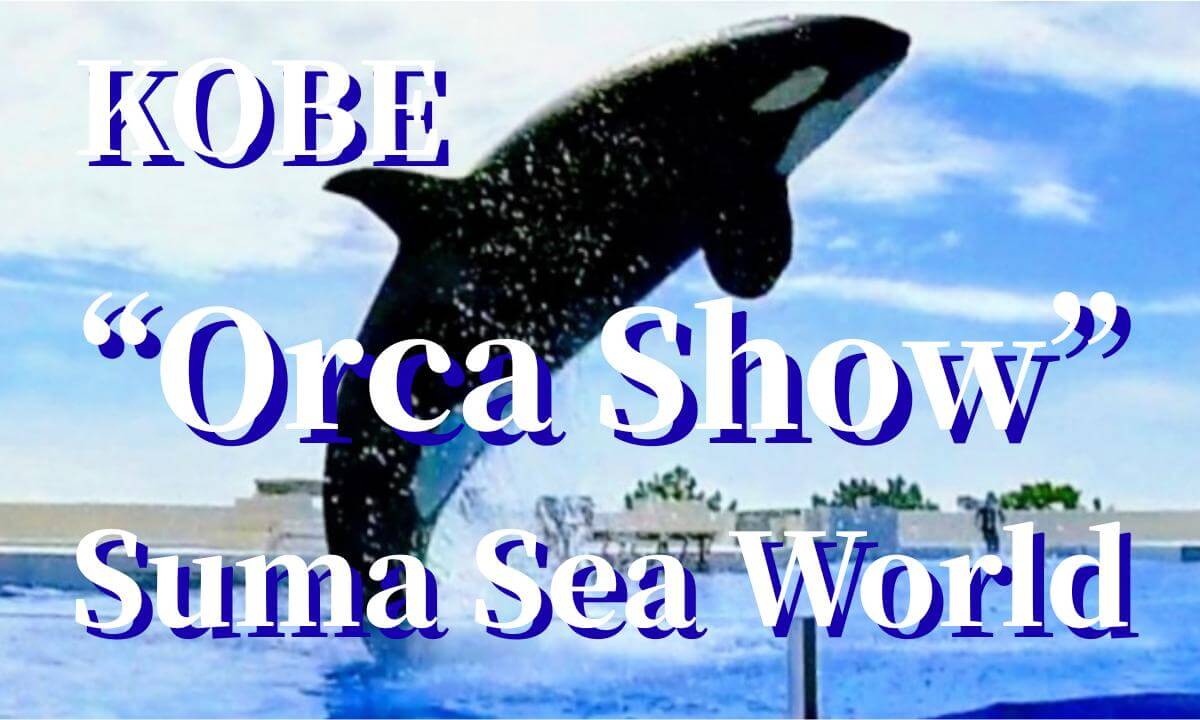 Kobe: Suma Sea World "Orca Show", JAPAN | DeoVR