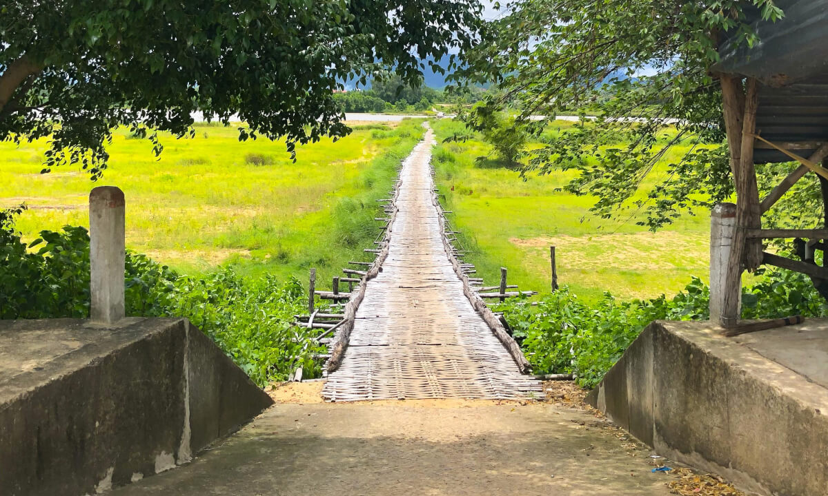 Cầu Tre An Chánh - Tran dai tam - VR Video | DeoVR