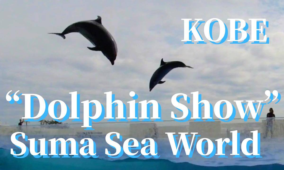 Kobe: Suma Sea World "Dolphin Show", JAPAN | DeoVR