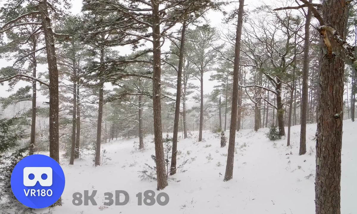 Arkansas Snow In Immersive VR180 | DeoVR