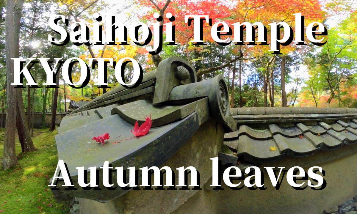Kyoto: Autumn leaves at Saihoji Temple (Moss Temple), JAPAN