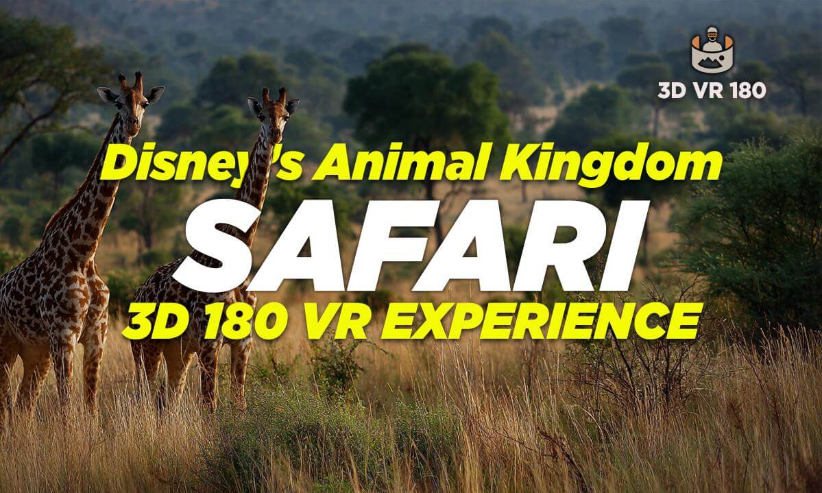 Kilimanjaro Safaris in 8K 3D 180° VR | Disney’s Animal Kingdom Wildlife ...