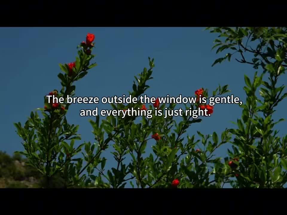 Trivial daily life can also be a healing movie | DeoVR