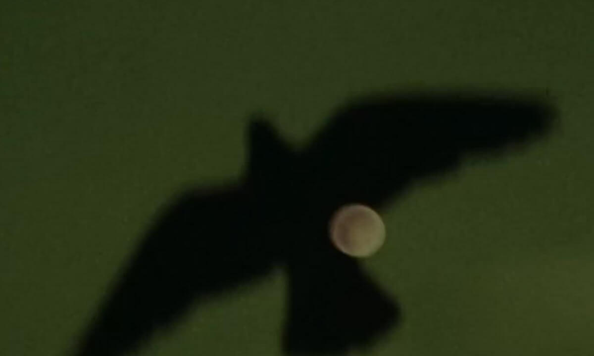 The Beatles - A Day In The Life_Full-HD_55_5_RIGHT_ONLY_auto_v1.8.3_LRF_Full_SBS