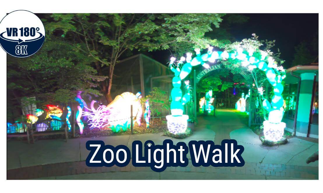 Zoo Light Walk - VAR Lab - VR Video | DeoVR