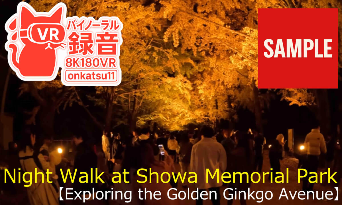 【SAMPLE】🌙 [Night Walk at Showa Memorial Park — The Illuminated Ginkgo ...
