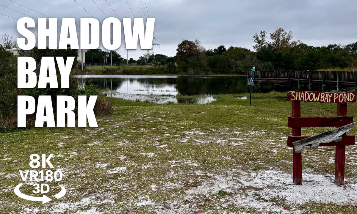 Shadow Bay Park VR180 8K 3D | Orlando Florida | Nature & Fitness Loop ...