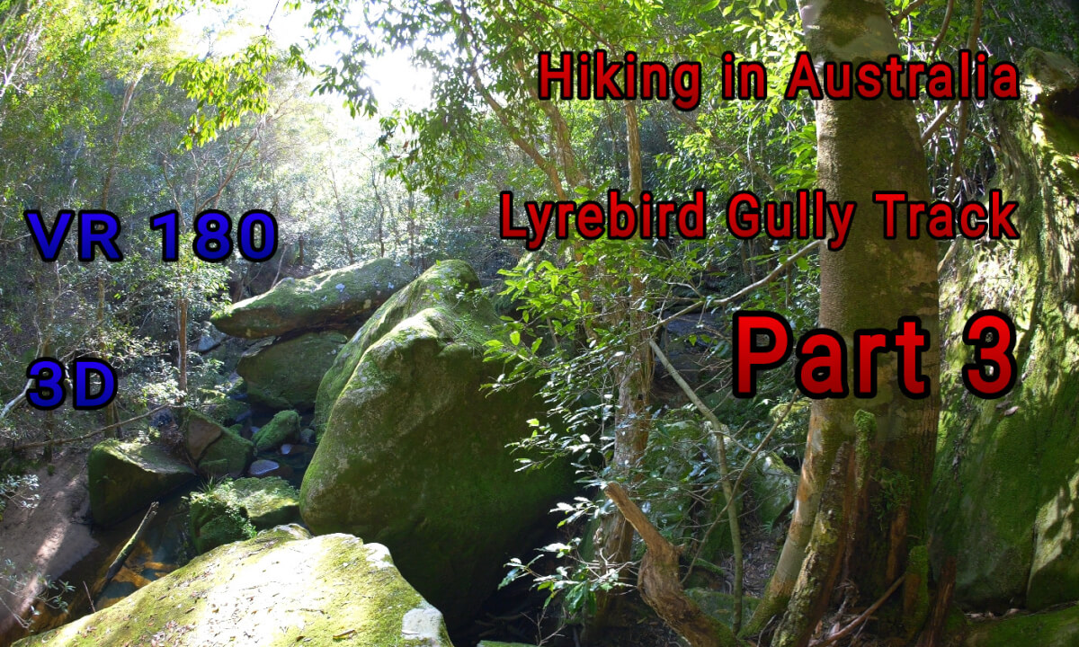 Lyrebird Gully Track part 3, Hiking | DeoVR